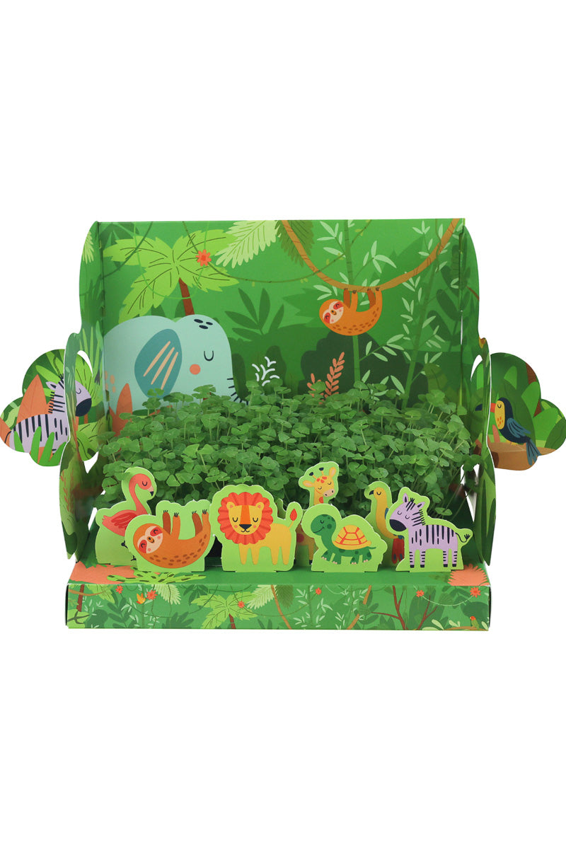 Buzzy Seeds Pop-Up Garden - Jungle – Chalet