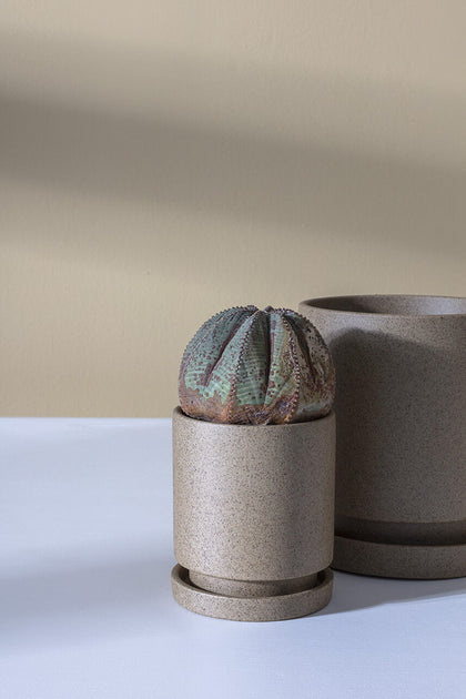 Pot, Imogen 3.5"X 4" – Chalet