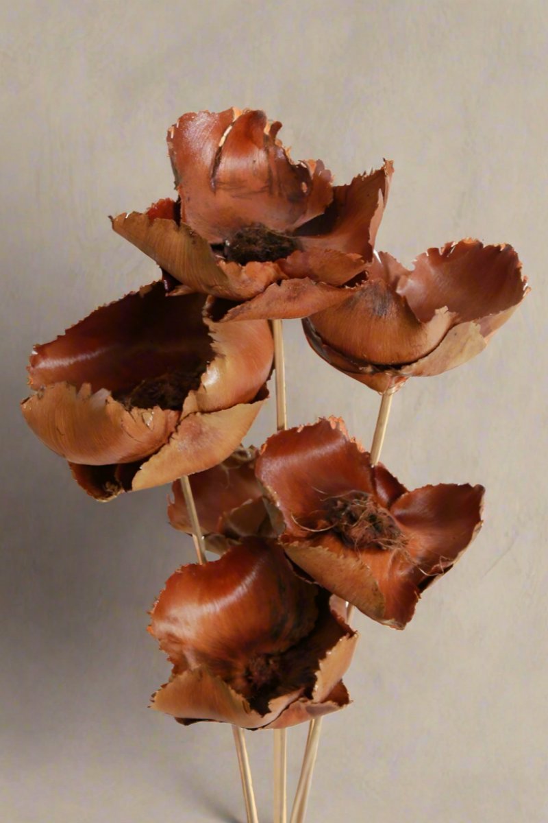 Vyn Dried Palm Caps Natural (6 Stem) – Chalet