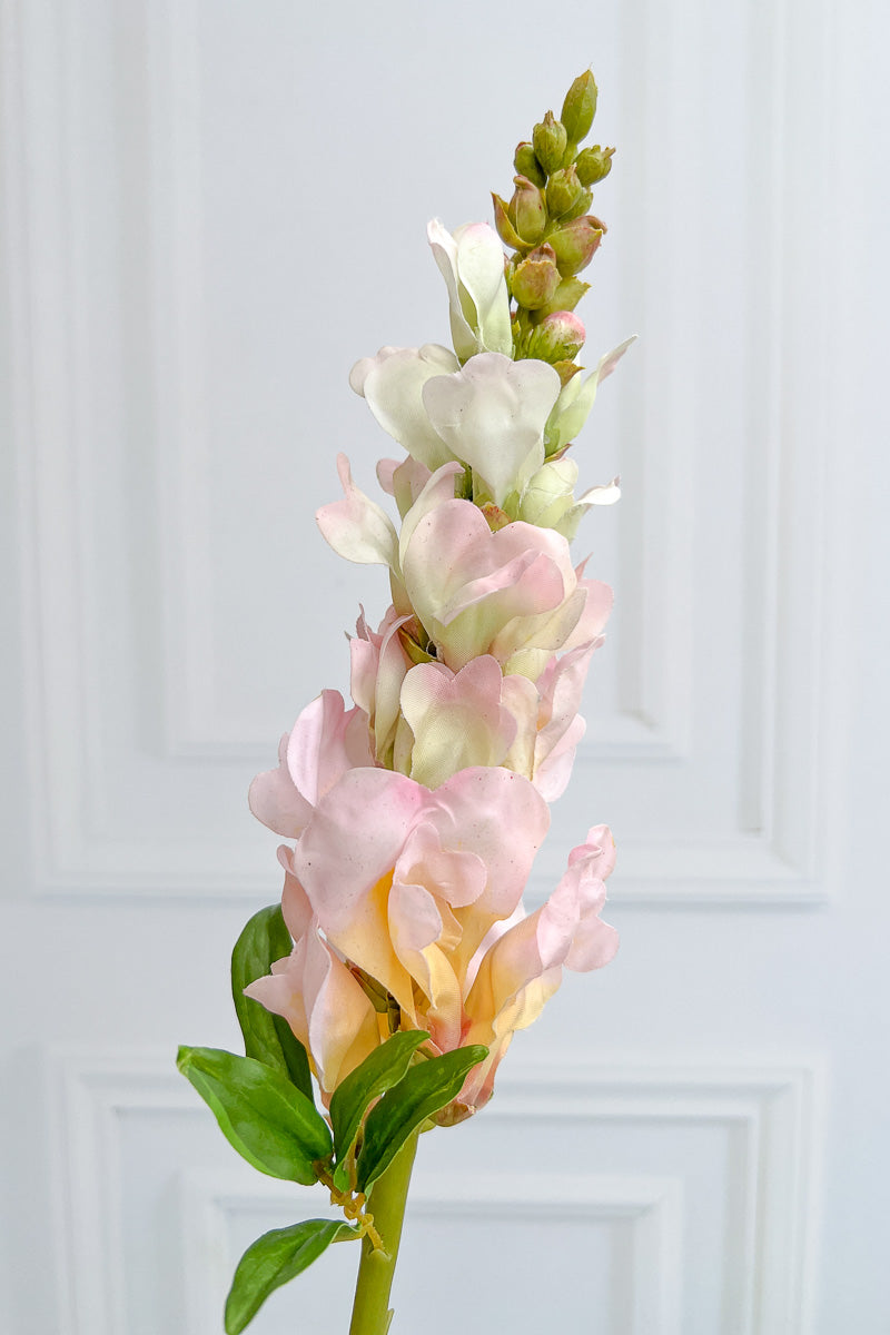 SILK STEM SNAPDRAGON 20.5" LP – Chalet
