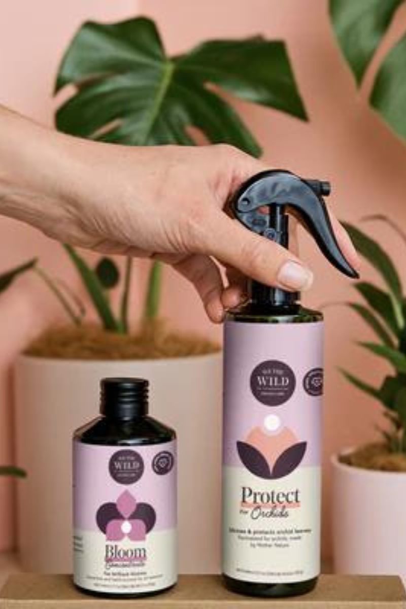 We The Wild Orchid Essentials Kit – Chalet