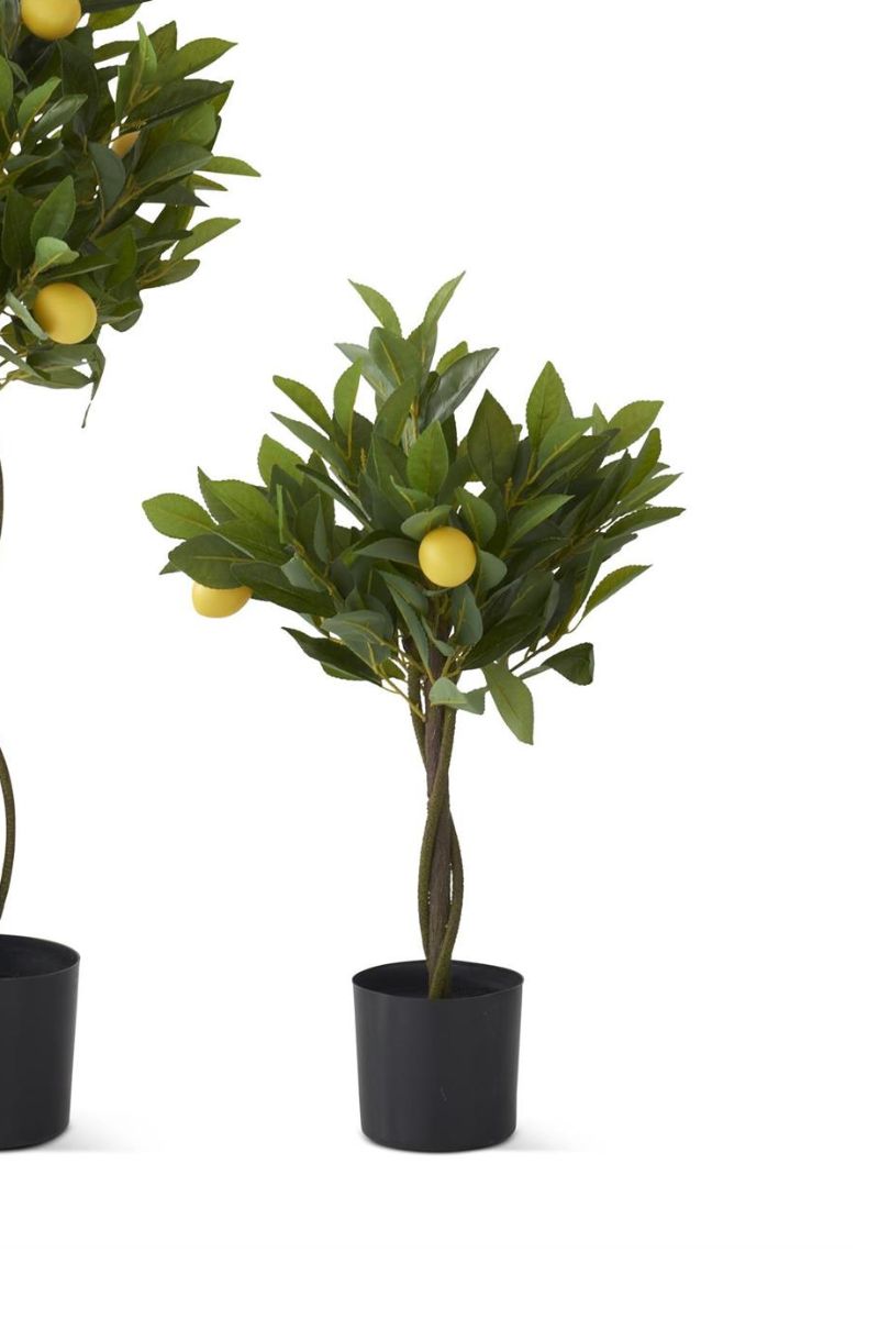 Faux Twisted Trunk Potted Lemon Tree 24" – Chalet