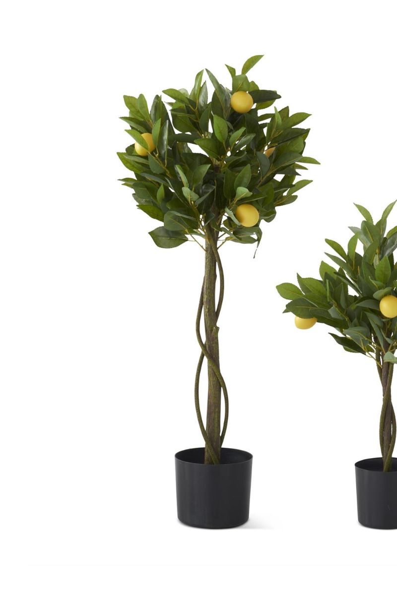 Faux Twisted Trunk Potted Lemon Tree 36" – Chalet