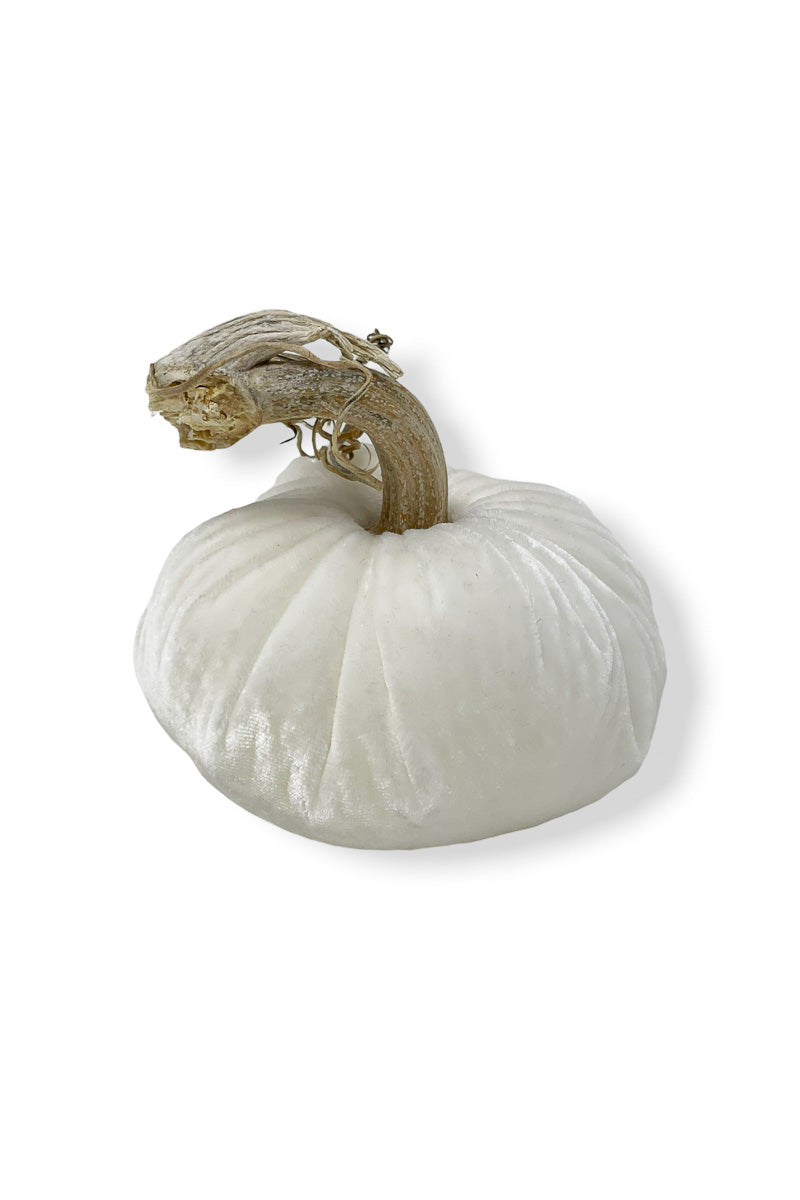 Plush Pumpkin Velvet Pumpkin 10" Snow – Chalet