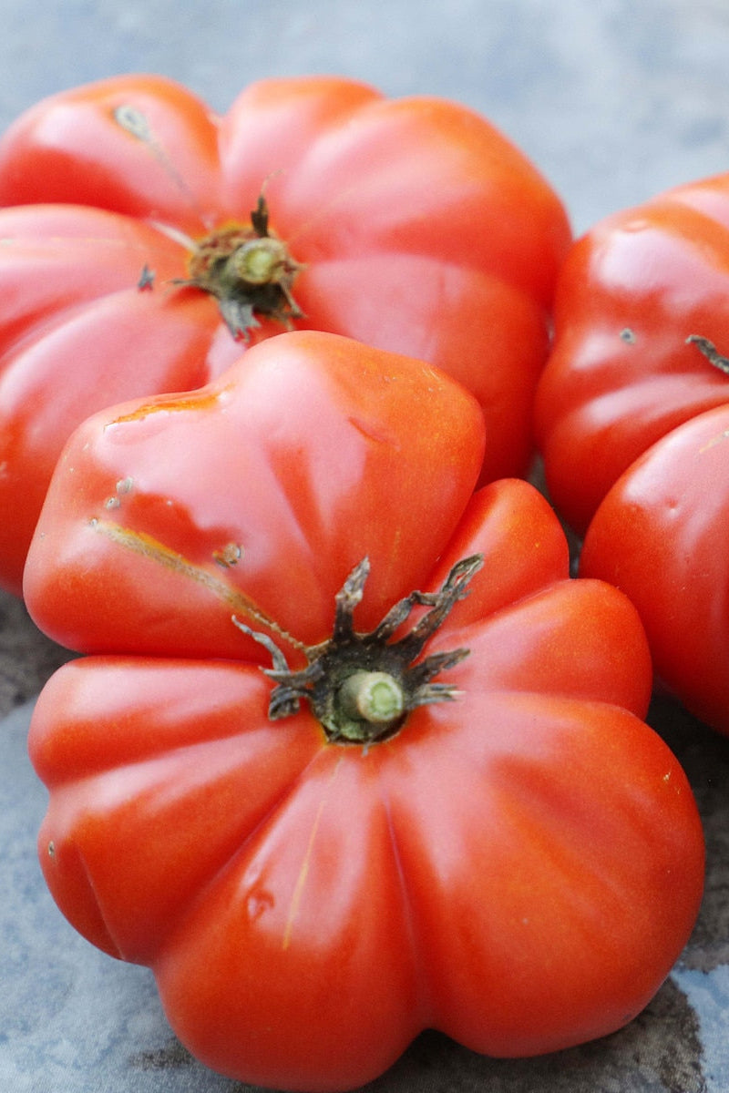 Seed Savers Rosso Sicilian Organic Tomato – Chalet